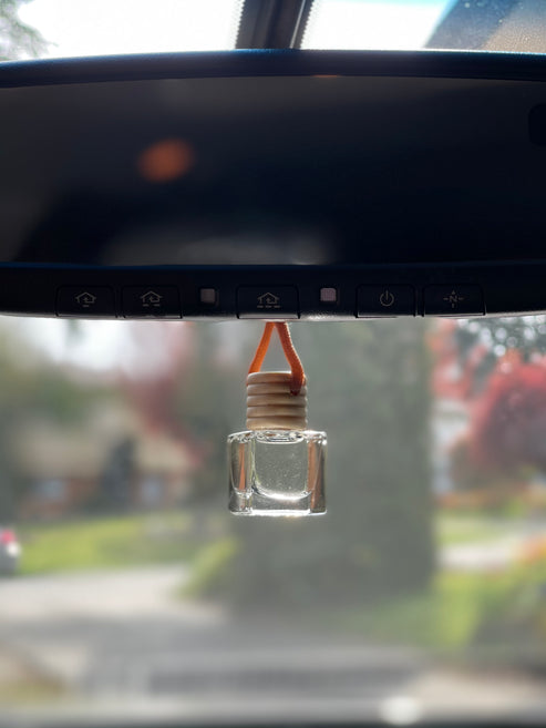 Hanging Car Diffuser – STERLING WEST